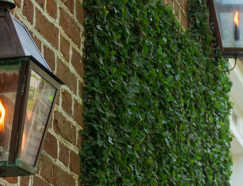 Modern and Transitional Gas Lanterns - Carolina Lanterns and Lighting